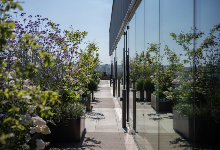 Building Gallery | OSMO